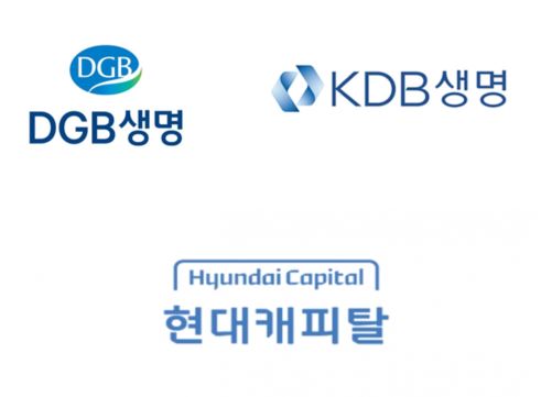 DGB생명·KDB생명·현대캐피탈, 소비자 보호 '미흡'